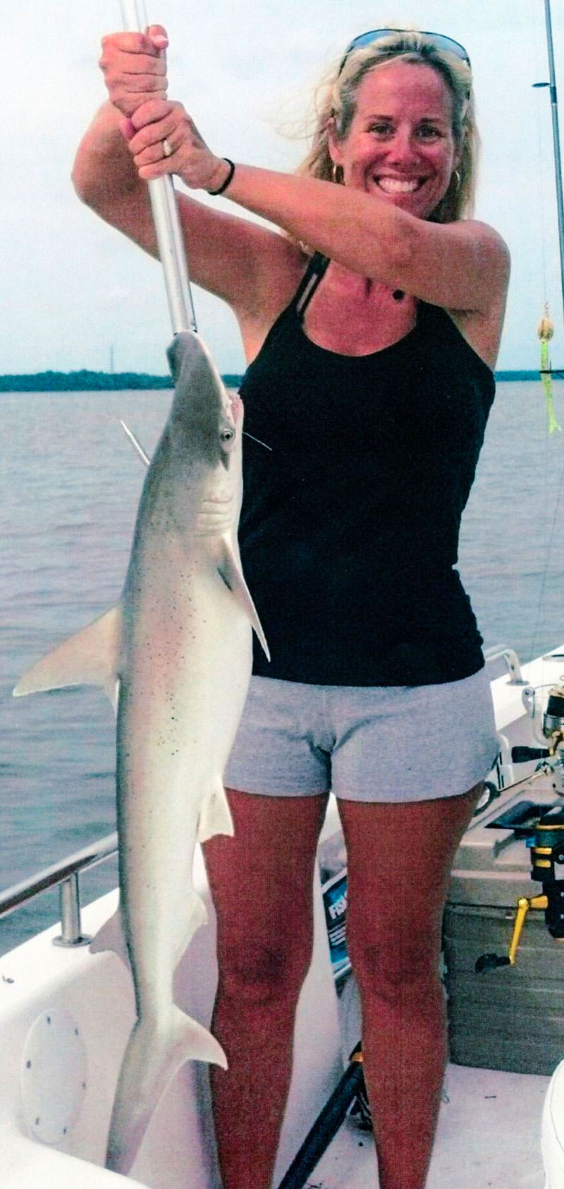 Shark Fishing: A Guide to Species – World Wide Sport Fishing Charters