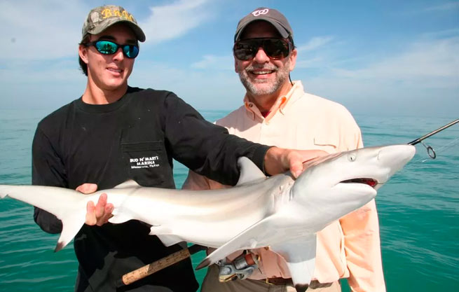 Shark Fishing: A Guide to Species – World Wide Sport Fishing Charters